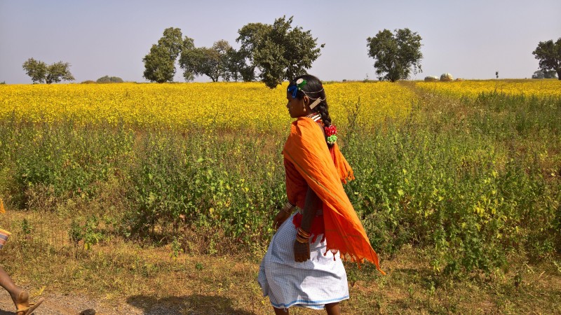 Tribal Odisha: Adivasi Cultures and Heartlands